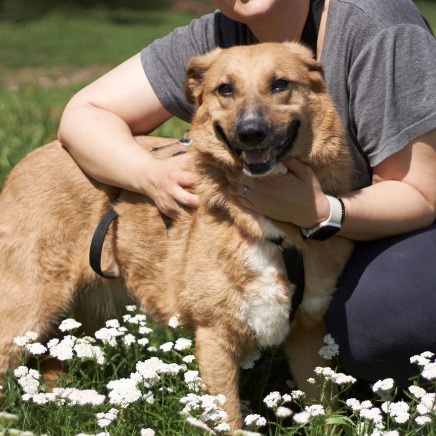 Нежная скромная девочка Лея из приюта