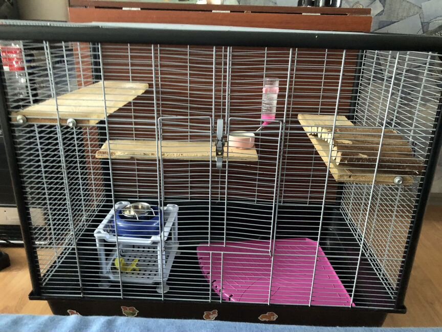 Клетка для крыс