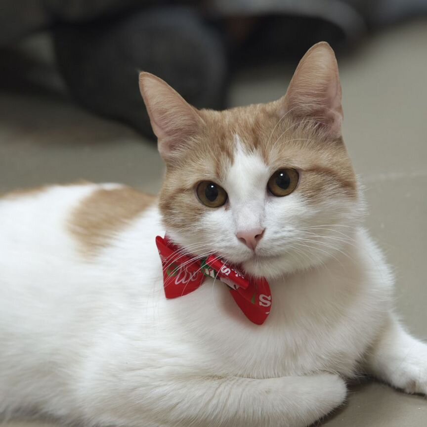 Юджин - интеллигент