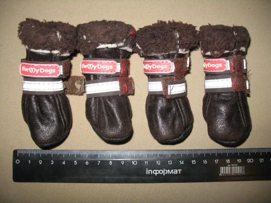Собачкам - обувь зимняя