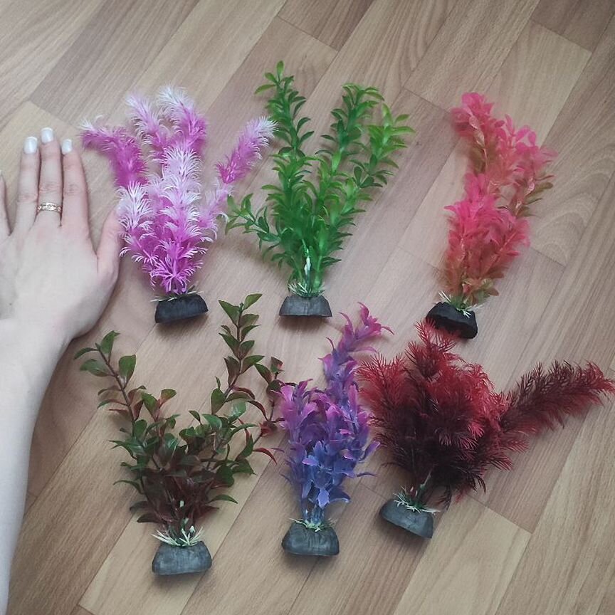 Водоросли искусственные