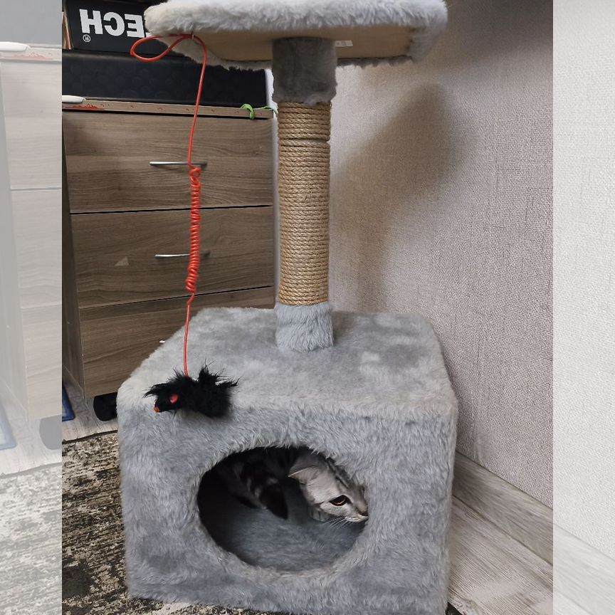 Когтеточка домик для кошки