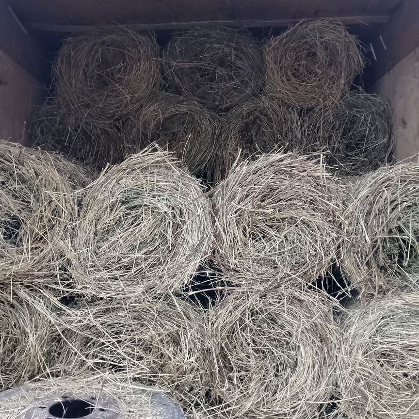 Сено в рулонах