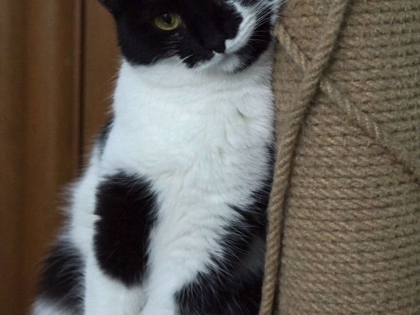 В ожидании семьи