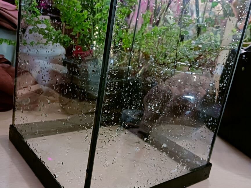 Аквариум куб