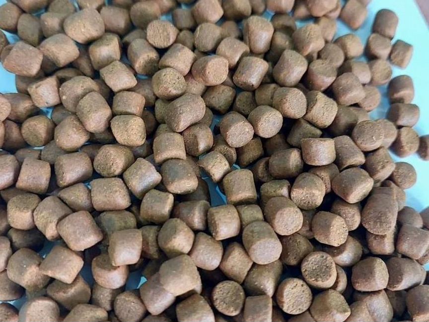 Корм для карпа