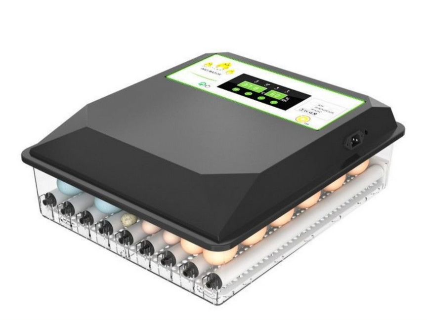 Инкубатор для яиц автоматический