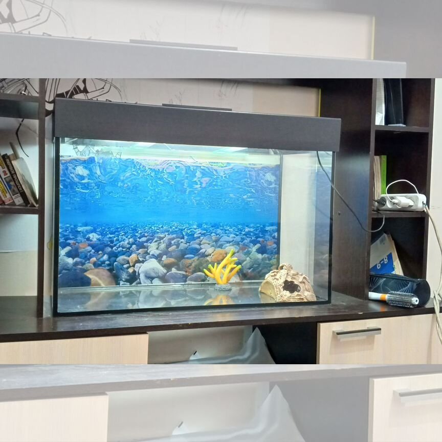 Аквариум