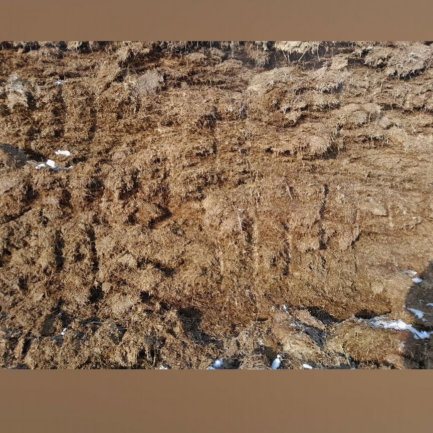 Силос Люцерны