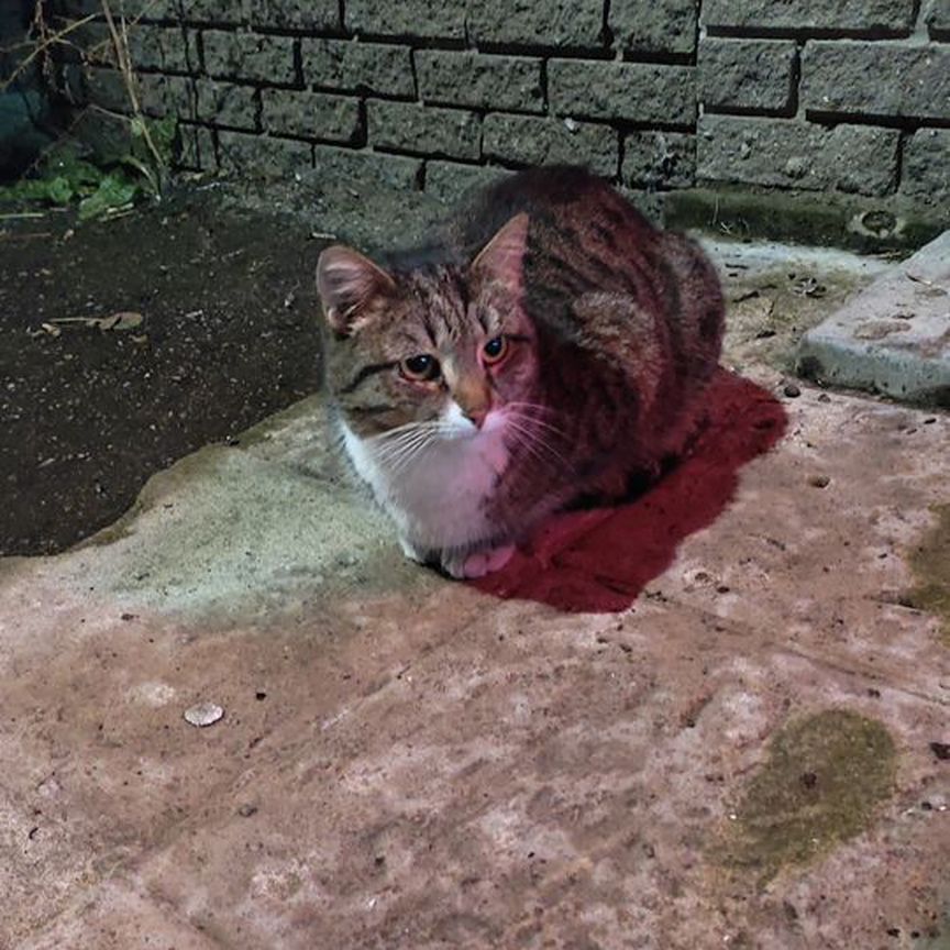 Ее дом разрушен