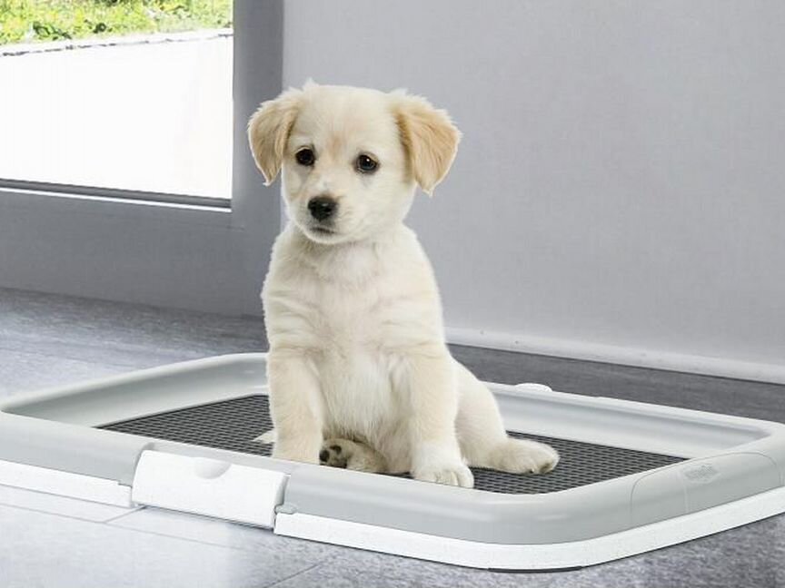 Stefanplast набор для приучения к туалету: рамка-д