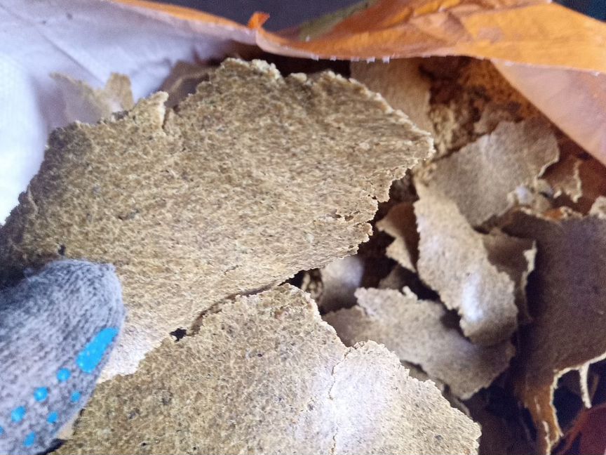 Горчичный жмых