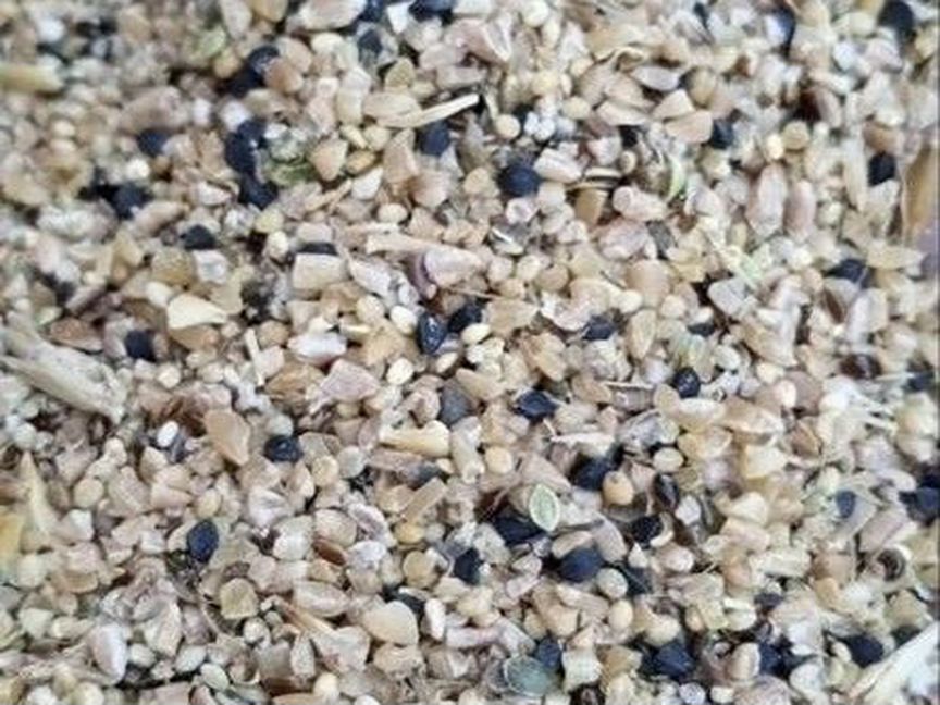 Зерноотходы пшеница с эливатора