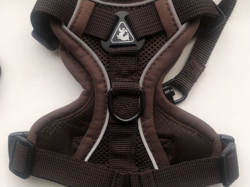 Шлейка для собак и кошек. Поводок