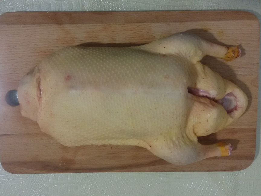 Домашние индоутки (тушки)