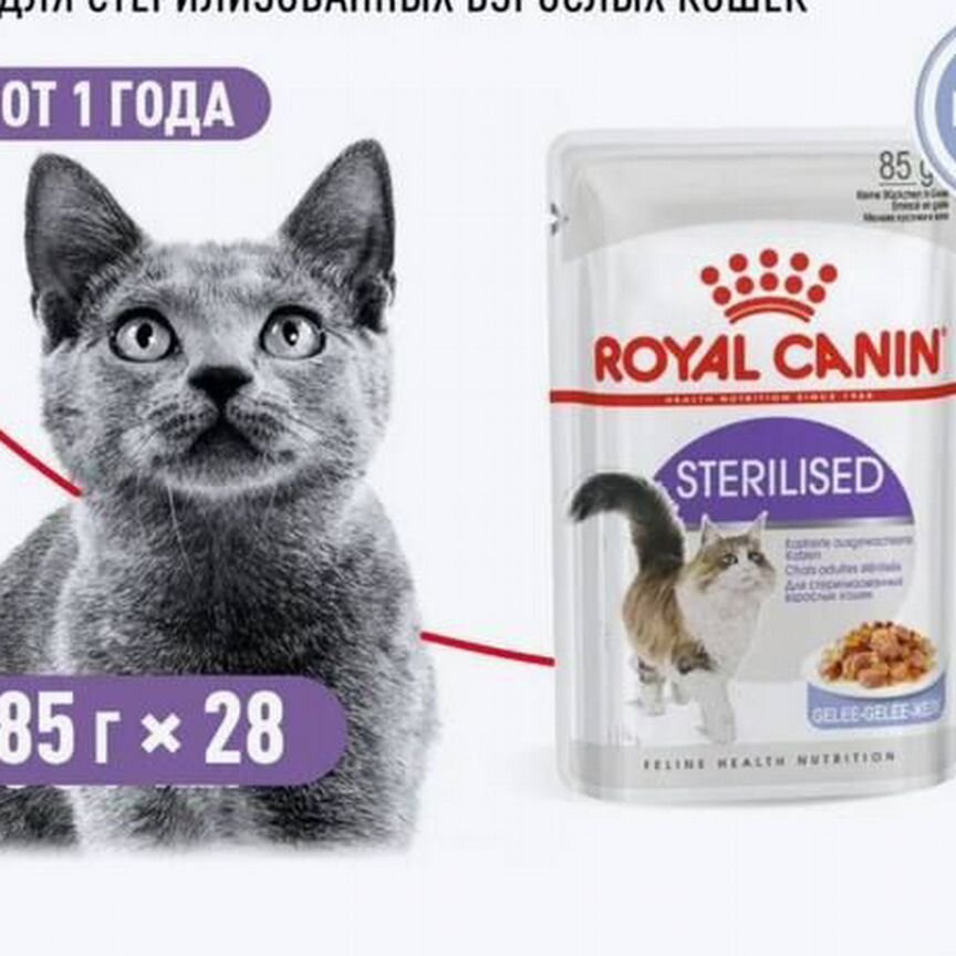 Royal Canin Sterilised. Влажный корм для кошек