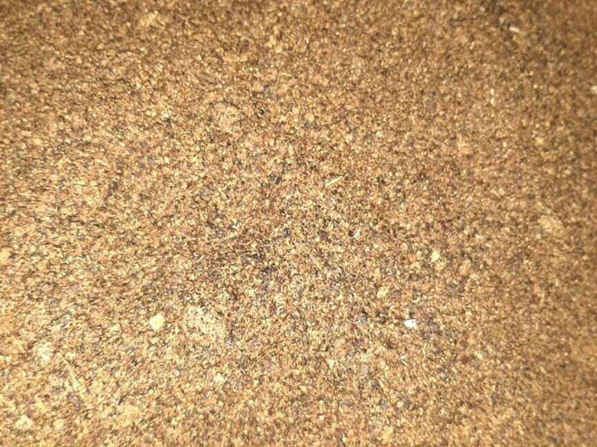 Шрот рапсовый