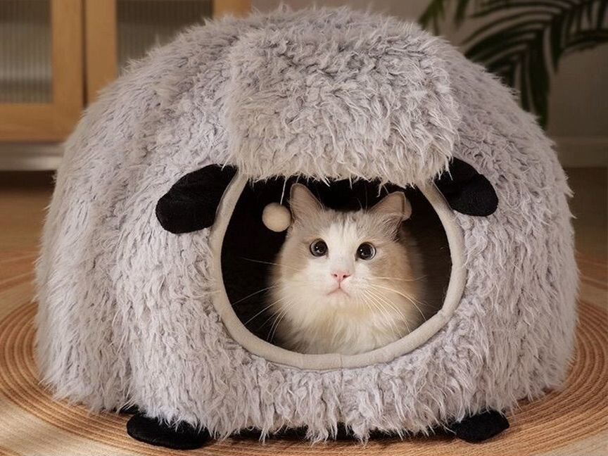 Маленькое кошачье гнездо овцы