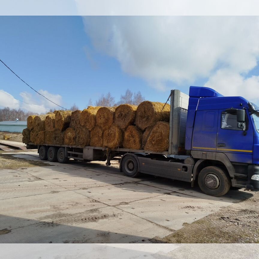 Продаётся солома пшеничная