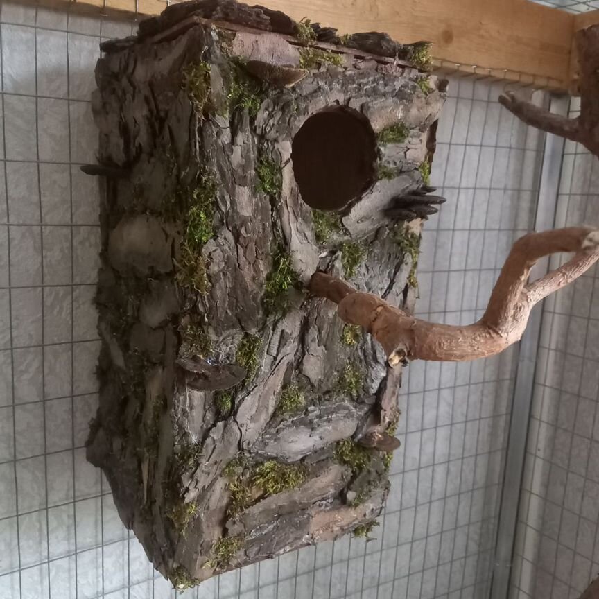 Дуплянка для птиц