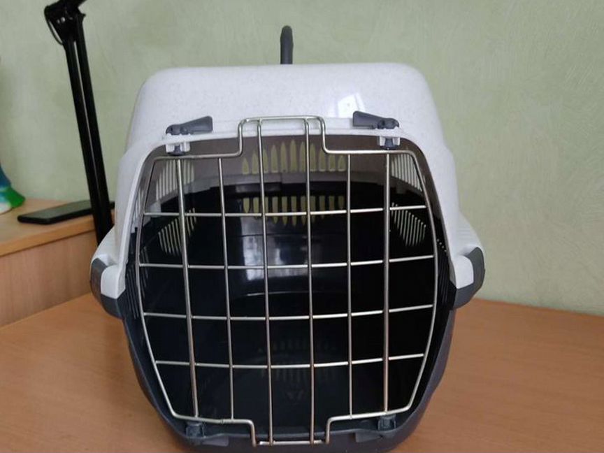 Переноска для животных (аренда)