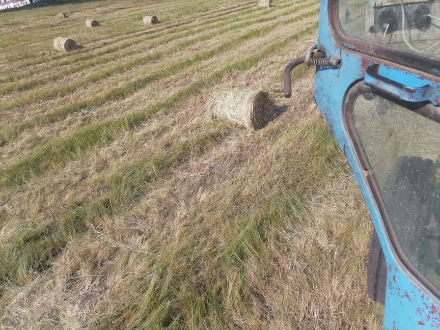 Сено в рулонах 2022