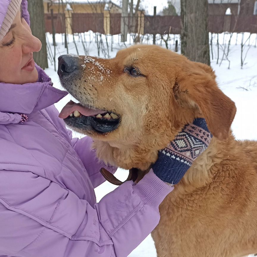 В Тайсона не возможно не влюбиться