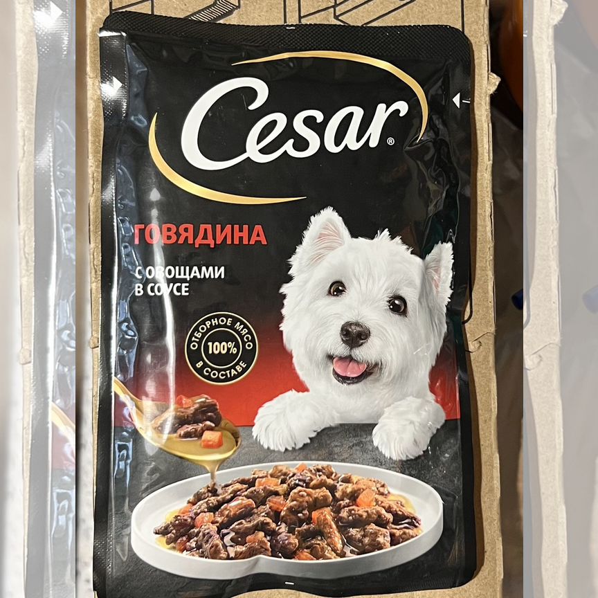 Корм для собак