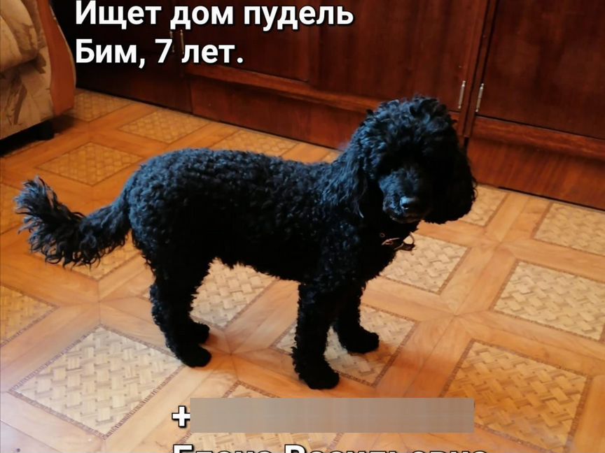 Мальчишке нужен новый дом