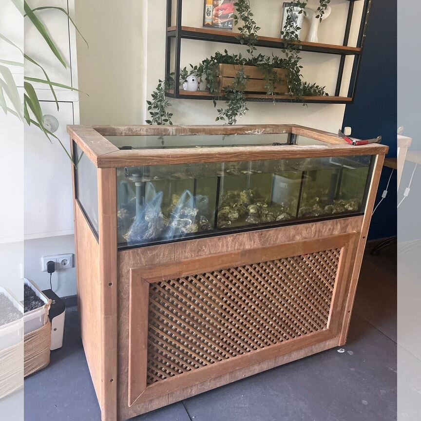 Аквариум для раков, крабов, устриц