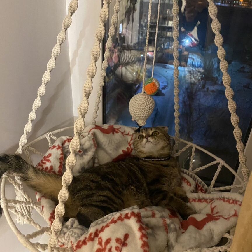 Гамак для кошек макраме