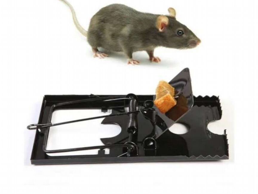 Ловушка для мышей