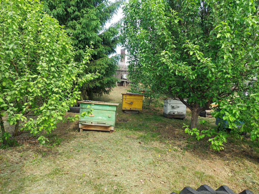 Улей для пчел бу