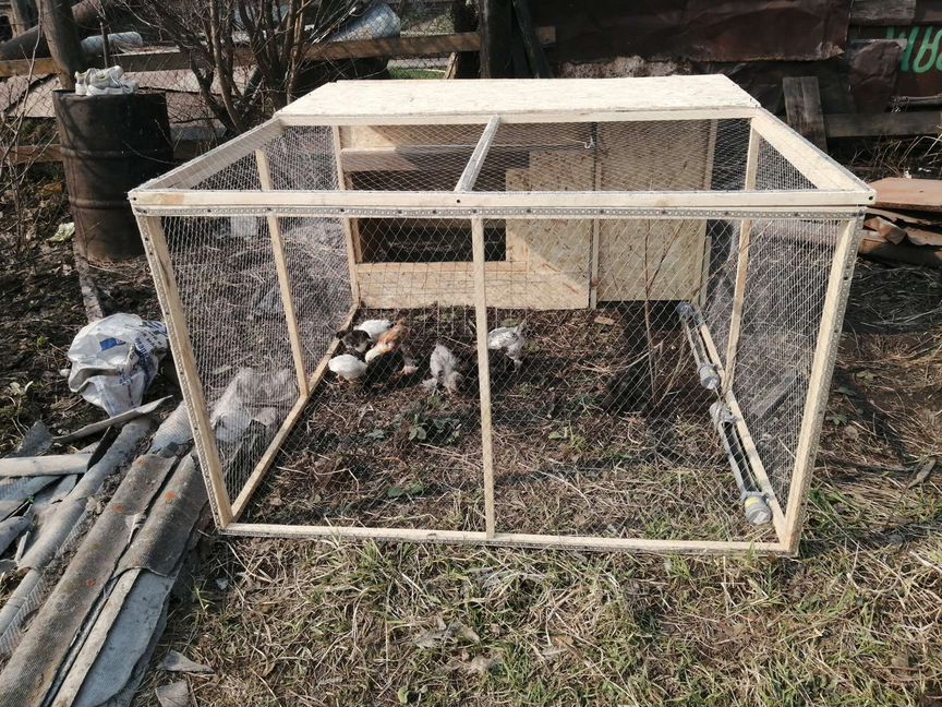 Продам брудер