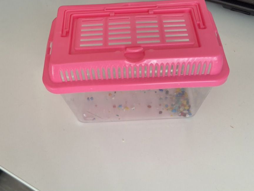 Аквариум черепашник