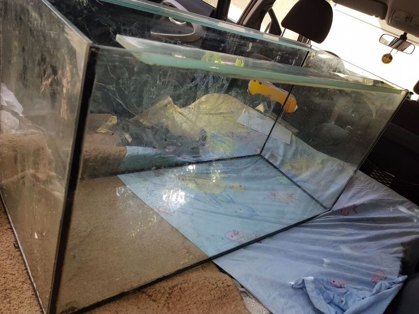 Аквариум 200л