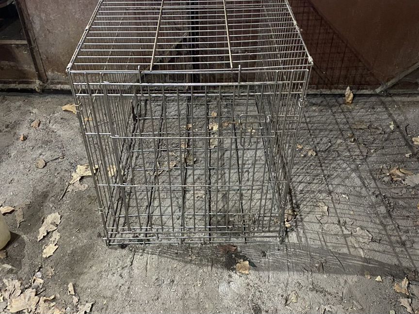 Клетка для кошек и собак