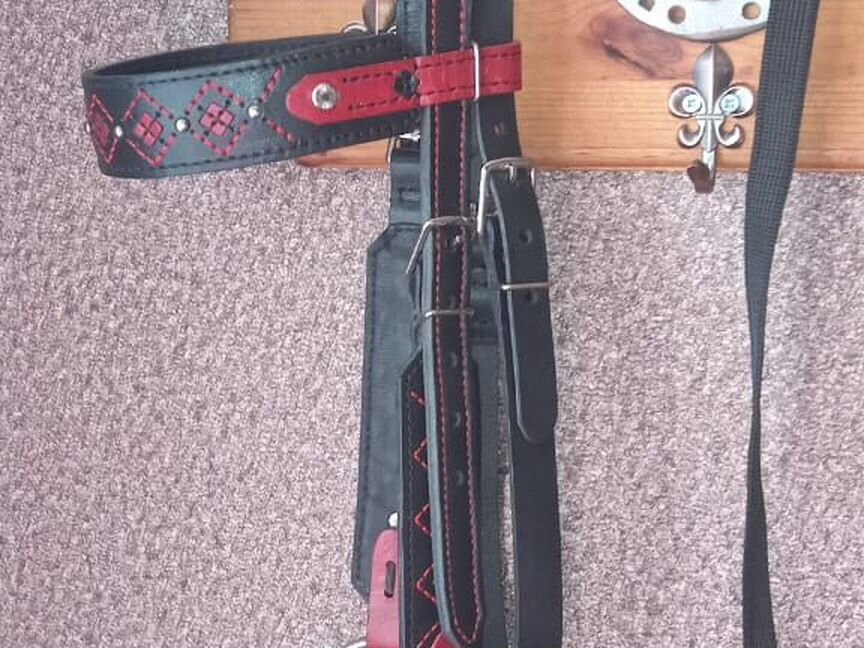 Уздечка для лошади