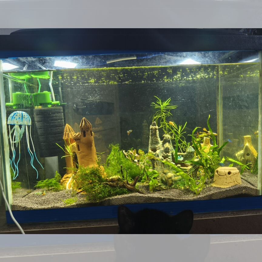 Аквариум бу 65л