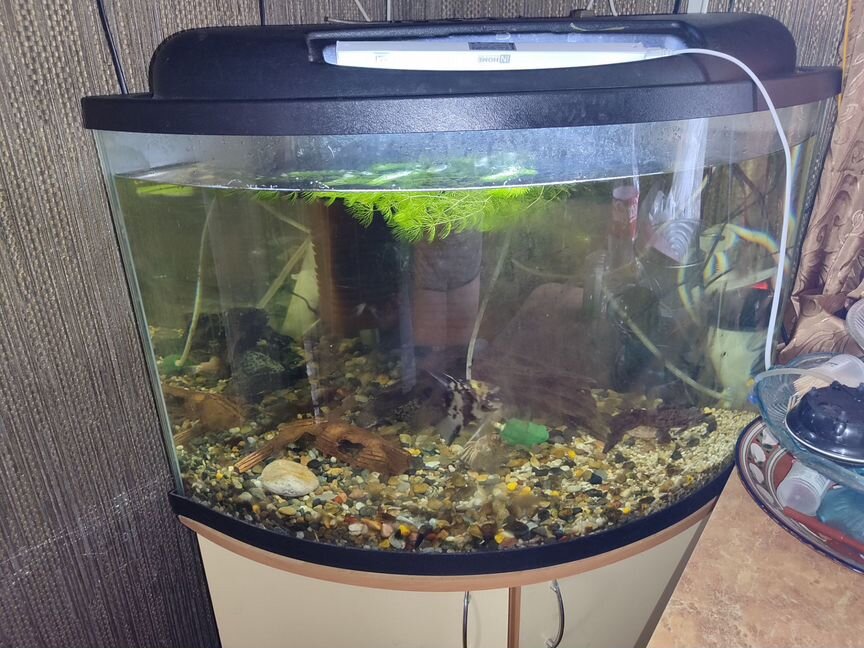 Аквариум aquael с комплектацией и тумбой