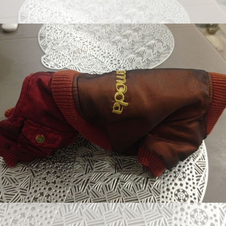 Зимний комбинезон для собак мелких пород