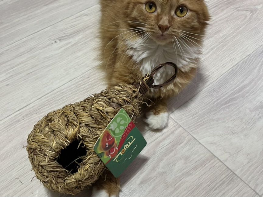 Гнездо для птичек