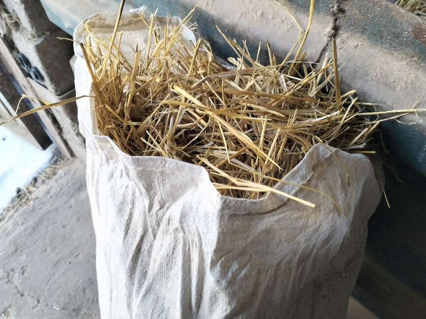 Салома в мешках