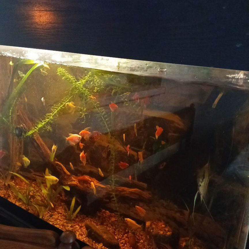 Аквариум с тумбой 100л бу