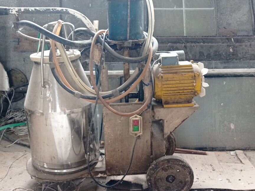 Доильный аппарат для коров бу