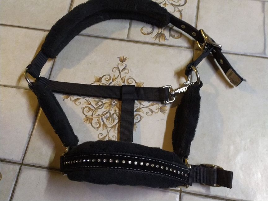 Недоуздок для лошади