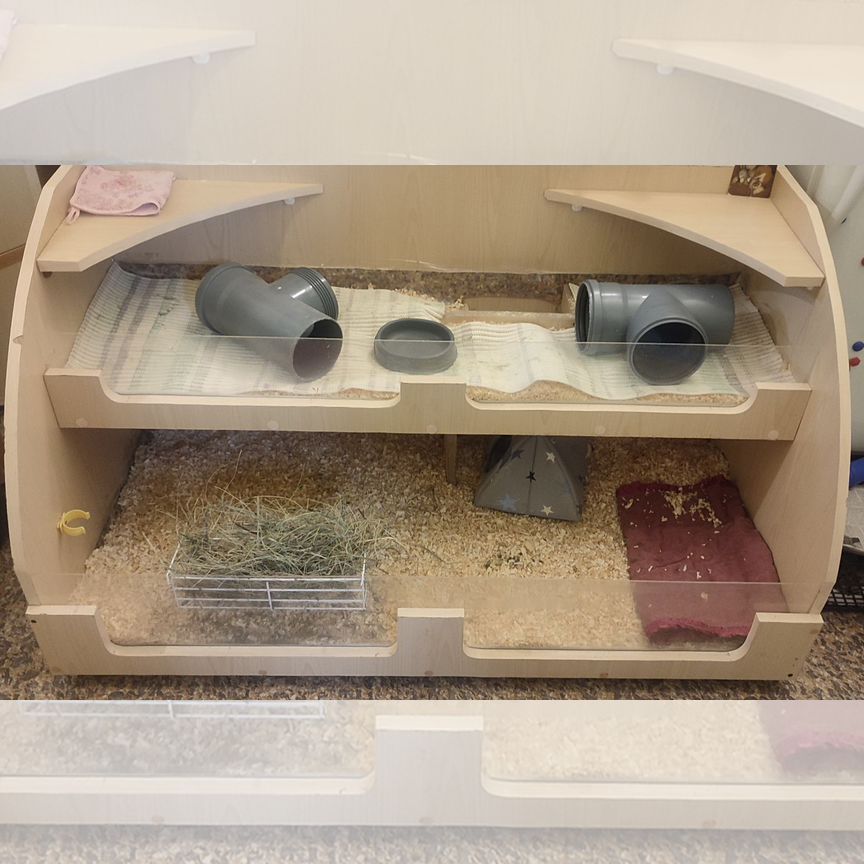 Стелаж для грызунов