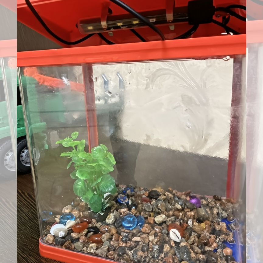 Аквариум 5 литров