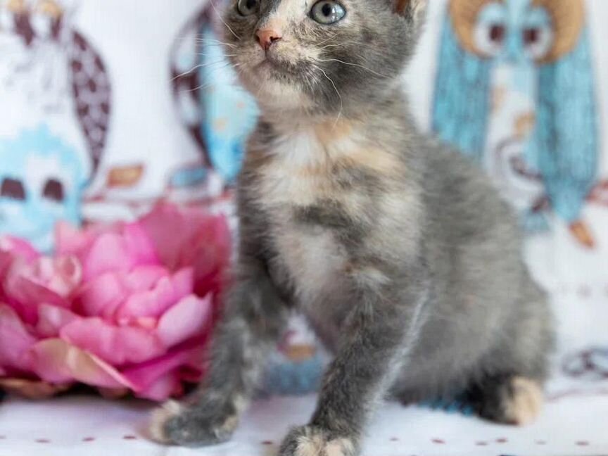 Малышка Мэги