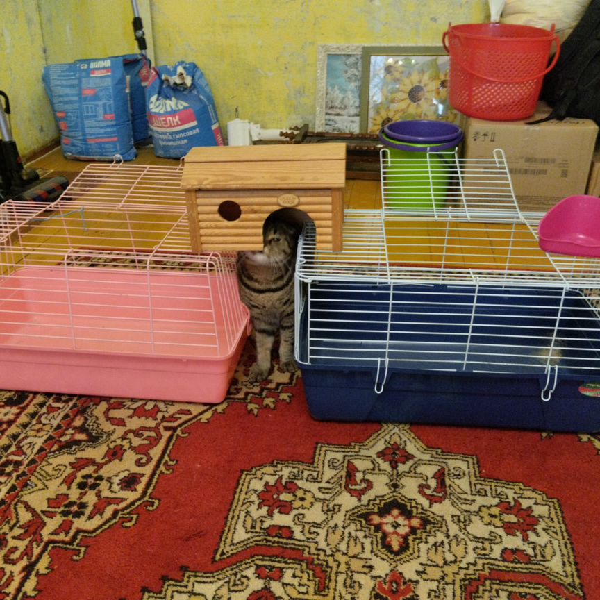 Клетка для кролика или свинки